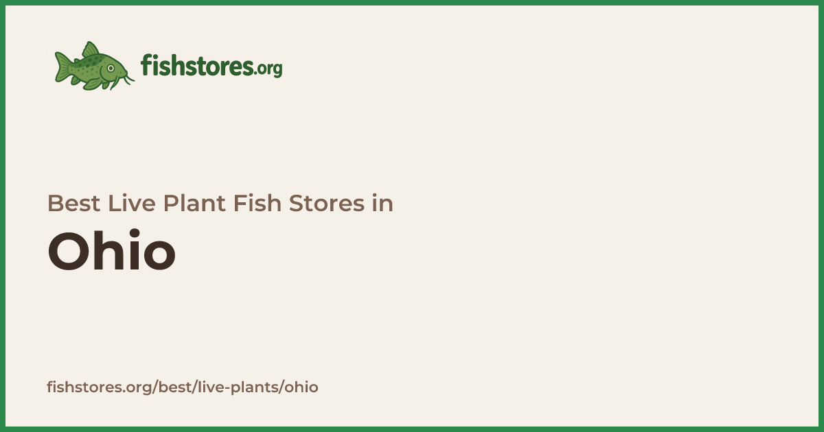 Best Live Plant Fish Stores in Ohio | FishStores.org