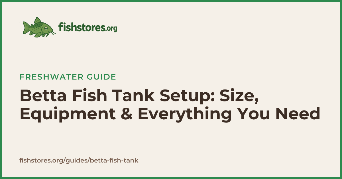 Betta Fish Tank Setup Guide (Size, Filter & More)