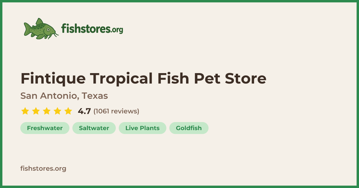 Fintique Tropical Fish Pet Store - Fish Store in San Antonio, TX ...
